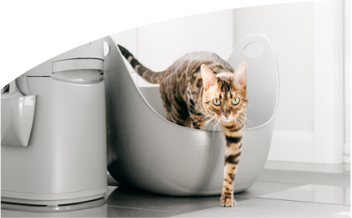 Litter Locker – litterlocker site